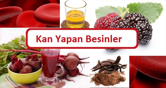 Kan Yapan Bitkiler, Kan Yapıcı Yiyecekler Ahmet Maranki - Güzellik Sırlarım